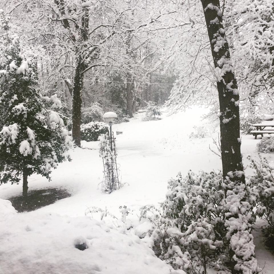 robin moore – THE RANT