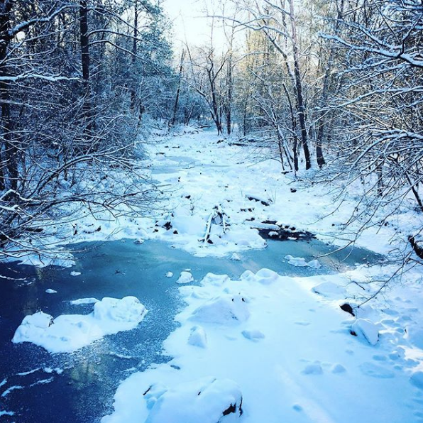 The snow’s still here: A photo gallery – THE RANT